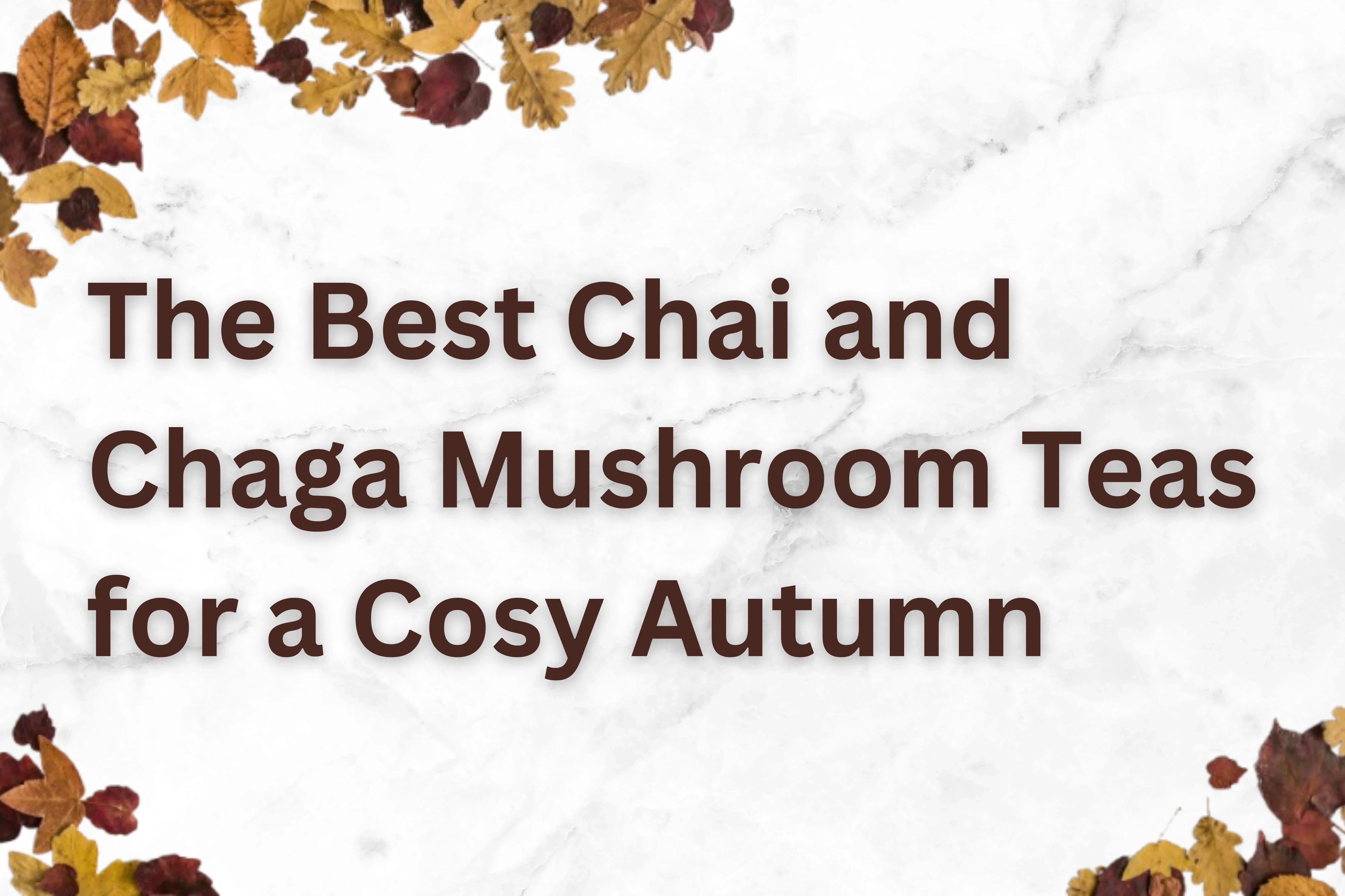 Cosy Autumn Chai Teas and Chaga Tea | Tea Life Australia