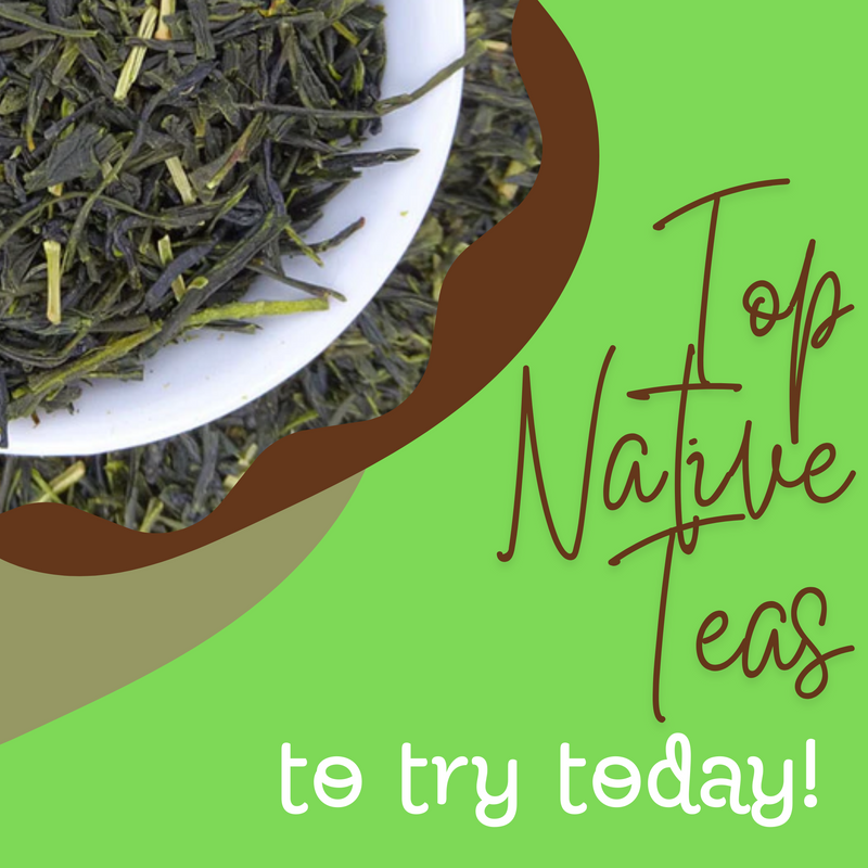 Top Native Teas to Try | Learn About Our Australian Teas