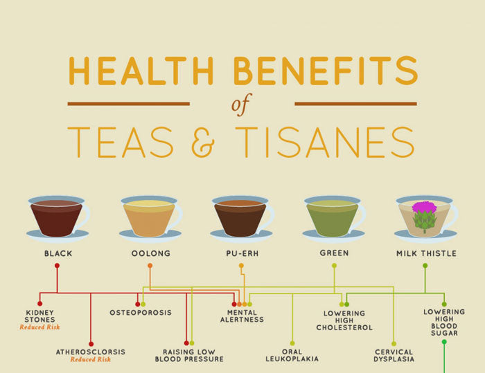 Amazing Health Benefits of Teas and Tisanes (Herbal Tea) – Tea Life