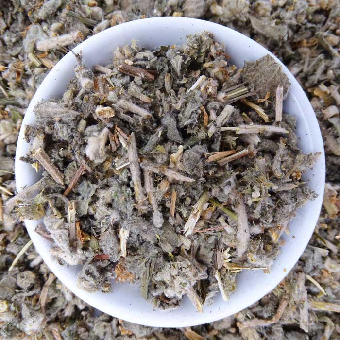 White Horehound Tea Online | Tea Life | Organic Herbal Tea